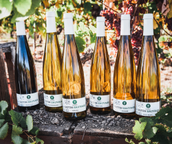 Cattin. Vivez l’expérience des grands vins et Crémants d’Alsace